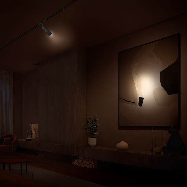 Buy Philips Webber Zoom Spot | Philips lighting Online Store