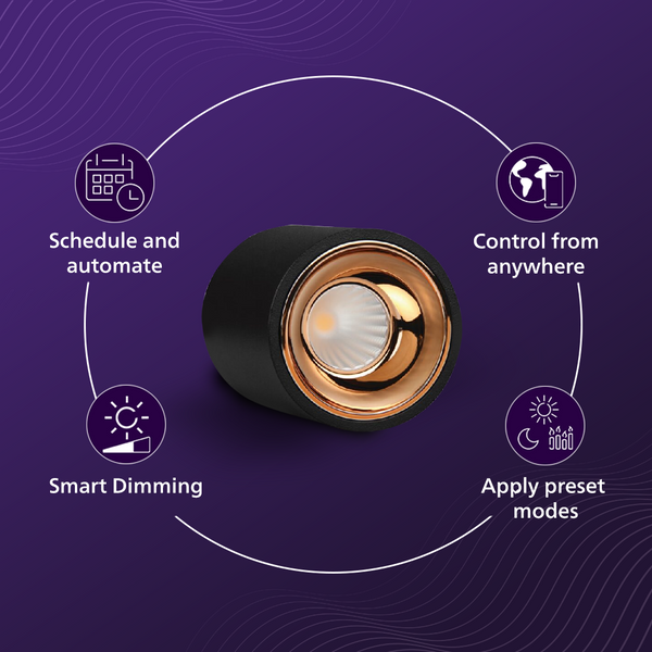 Philips Smart Wi-Fi Surface COB Spot light (Wiz Connected) – Philips ...